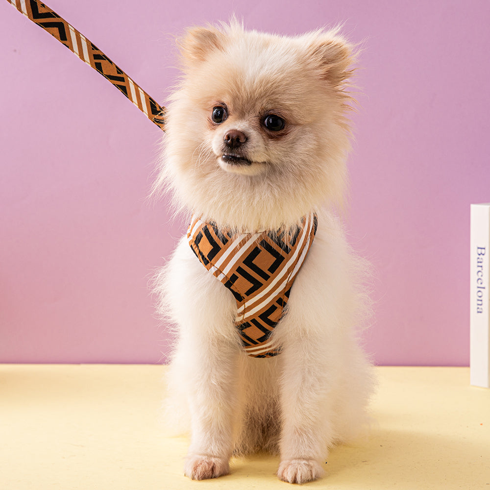 Furry Classy Harness & Leash Dope Set– Dear Doggo