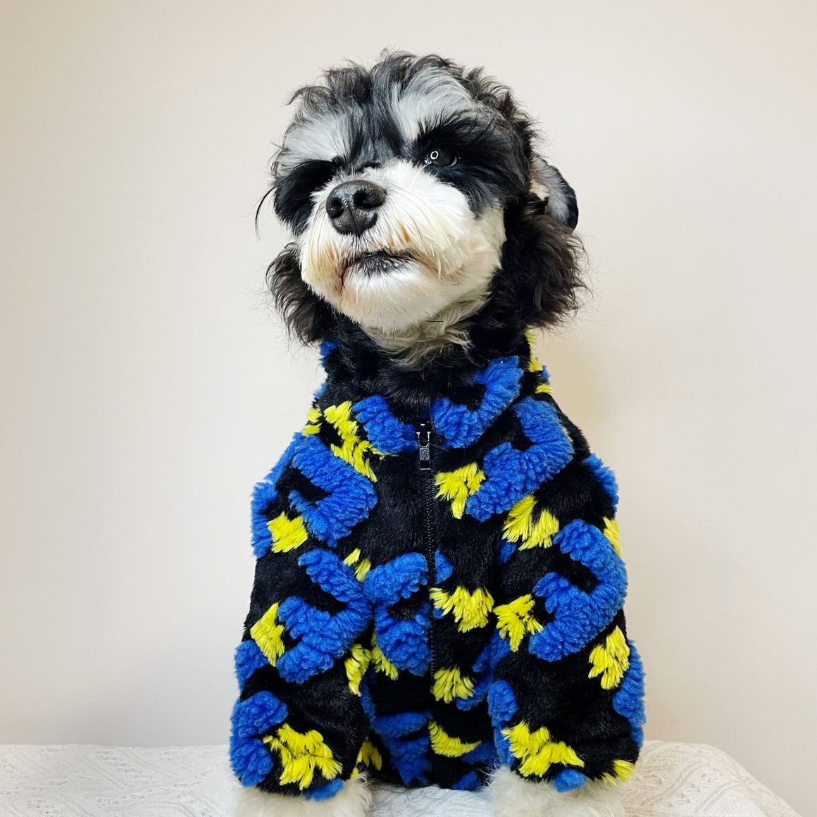 Dear Doggo: Unleash Style and Comfort with Trendy Dog Clothes!
