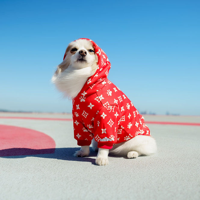 Dear Doggo: Unleash Style and Comfort with Trendy Dog Clothes!