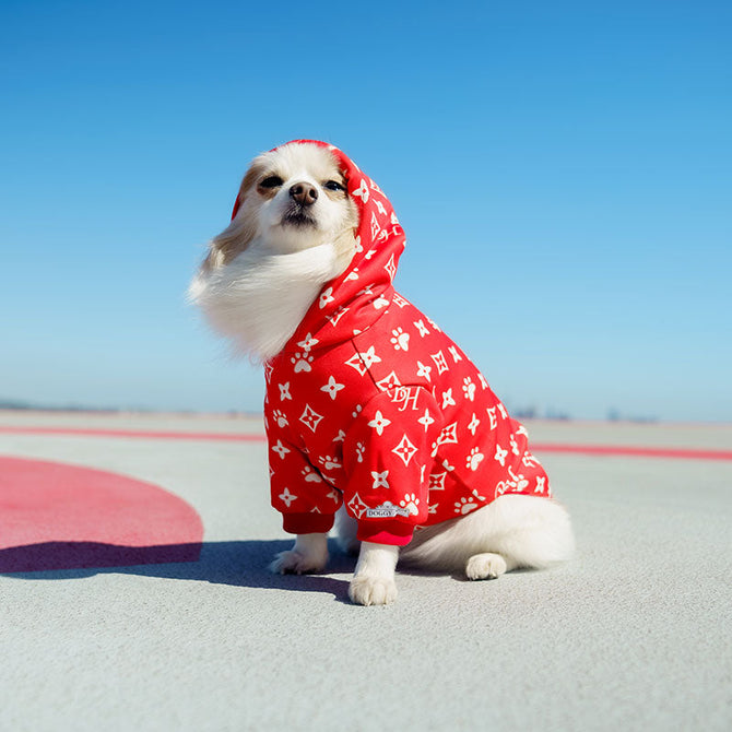 Dear Doggo: Unleash Style and Comfort with Trendy Dog Clothes!